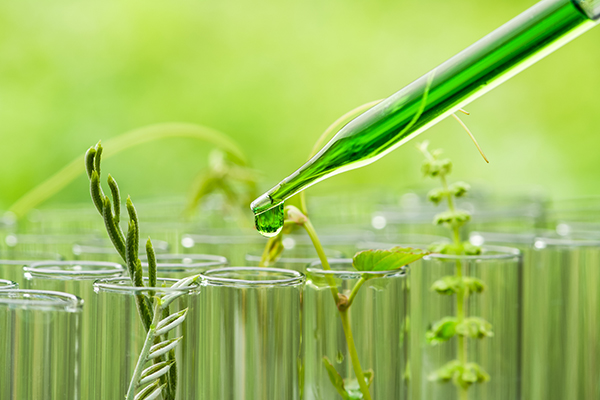 Goal Bio Oil - Biodiesel Manufacturer in Patna, Bihar