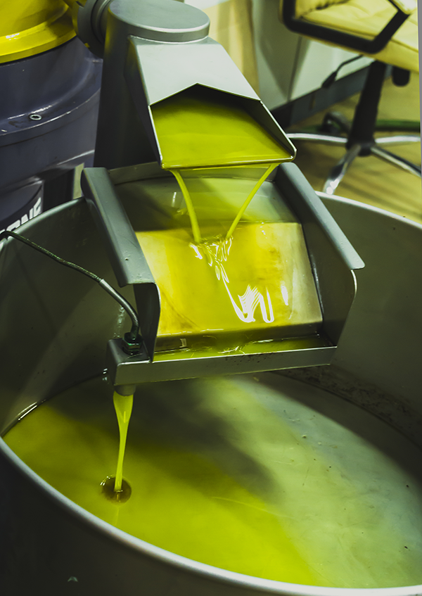 Goal Bio Oil - Biodiesel Manufacturer in Patna, Bihar